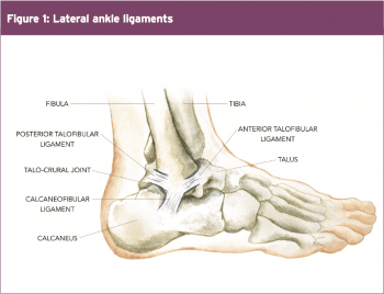Ankle Injury, Function and Chronic Pain