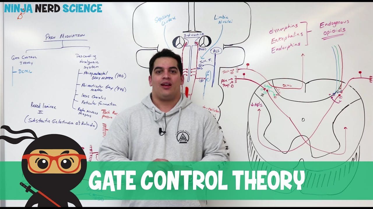 Gate Control Theory and Pain Management in El Paso, TX - El Paso, TX ...