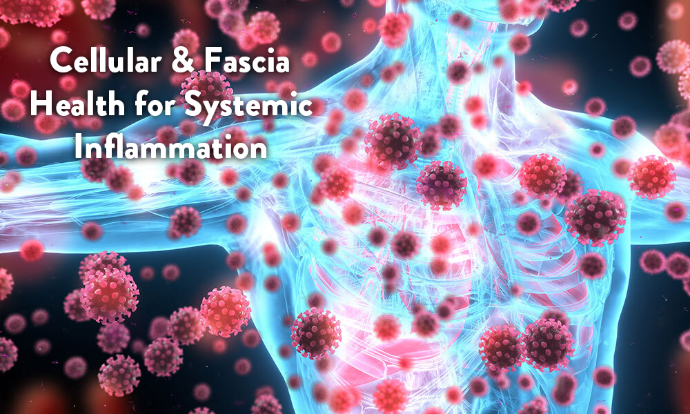 Systemic Inflammation Uncovered for Cellular and Fascia Health - El ...